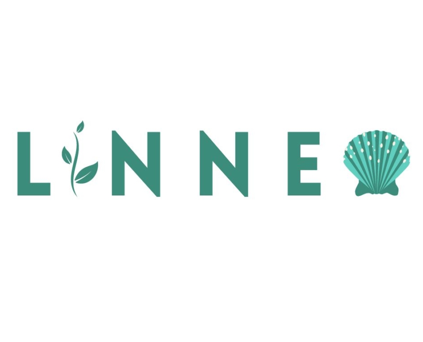 Erasmus Plus Projects - Newark School